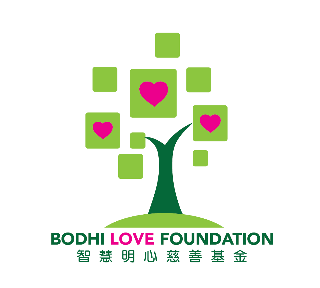 The Three Core Components of the SEED Program